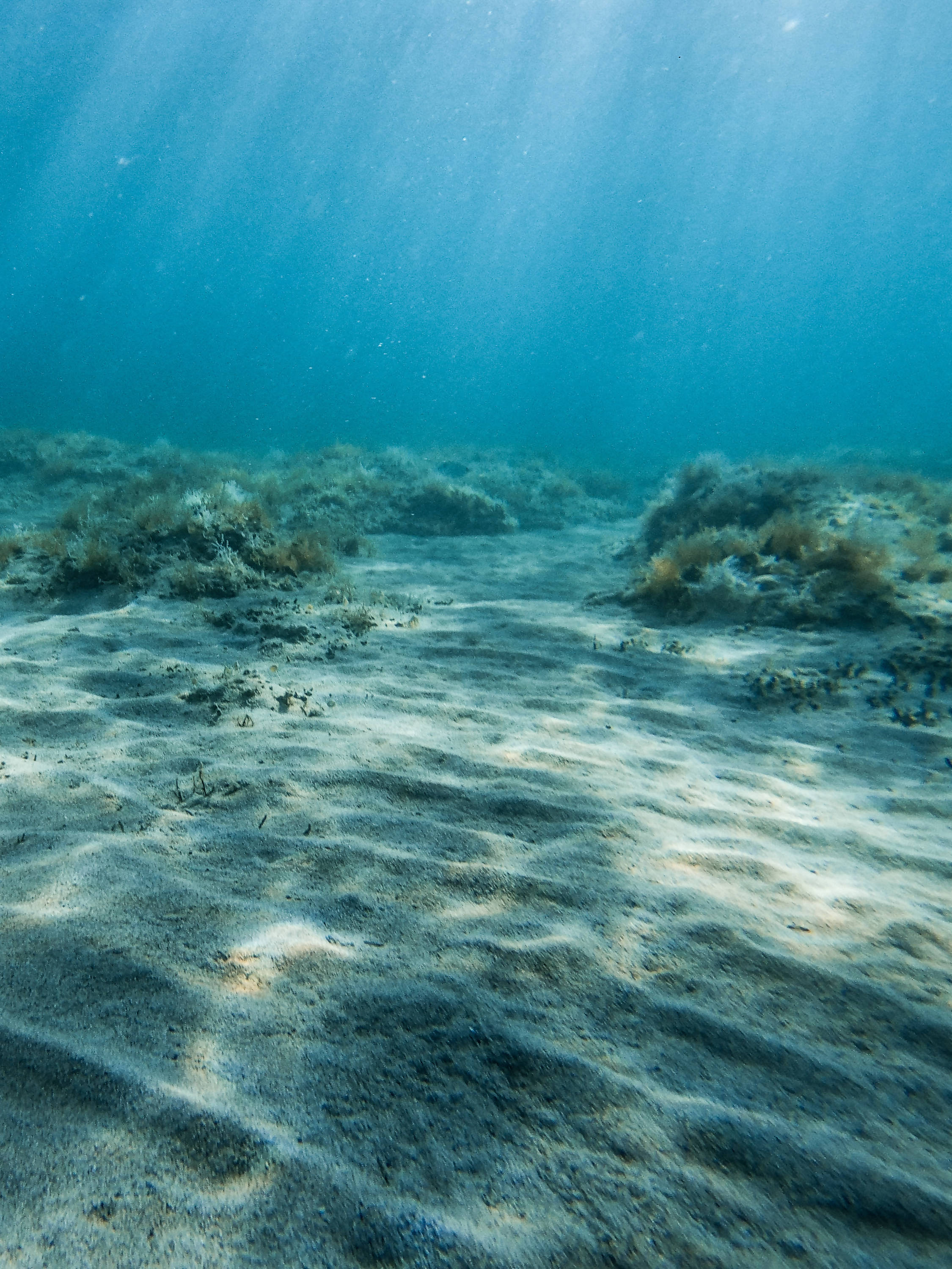 David Boca – Innergrade